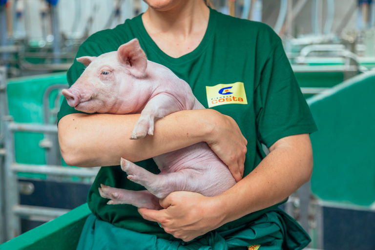 COSTA FOOD GROUP – Natural desde el origen