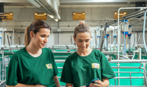 COSTA FOOD GROUP – Natural desde el origen