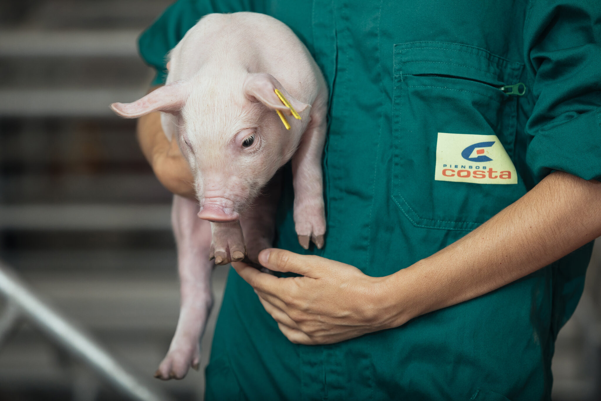 COSTA FOOD GROUP – Natural desde el origen